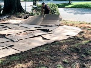 Build Soil and Sustainability with Sheet Mulching | Shades of Green Blog