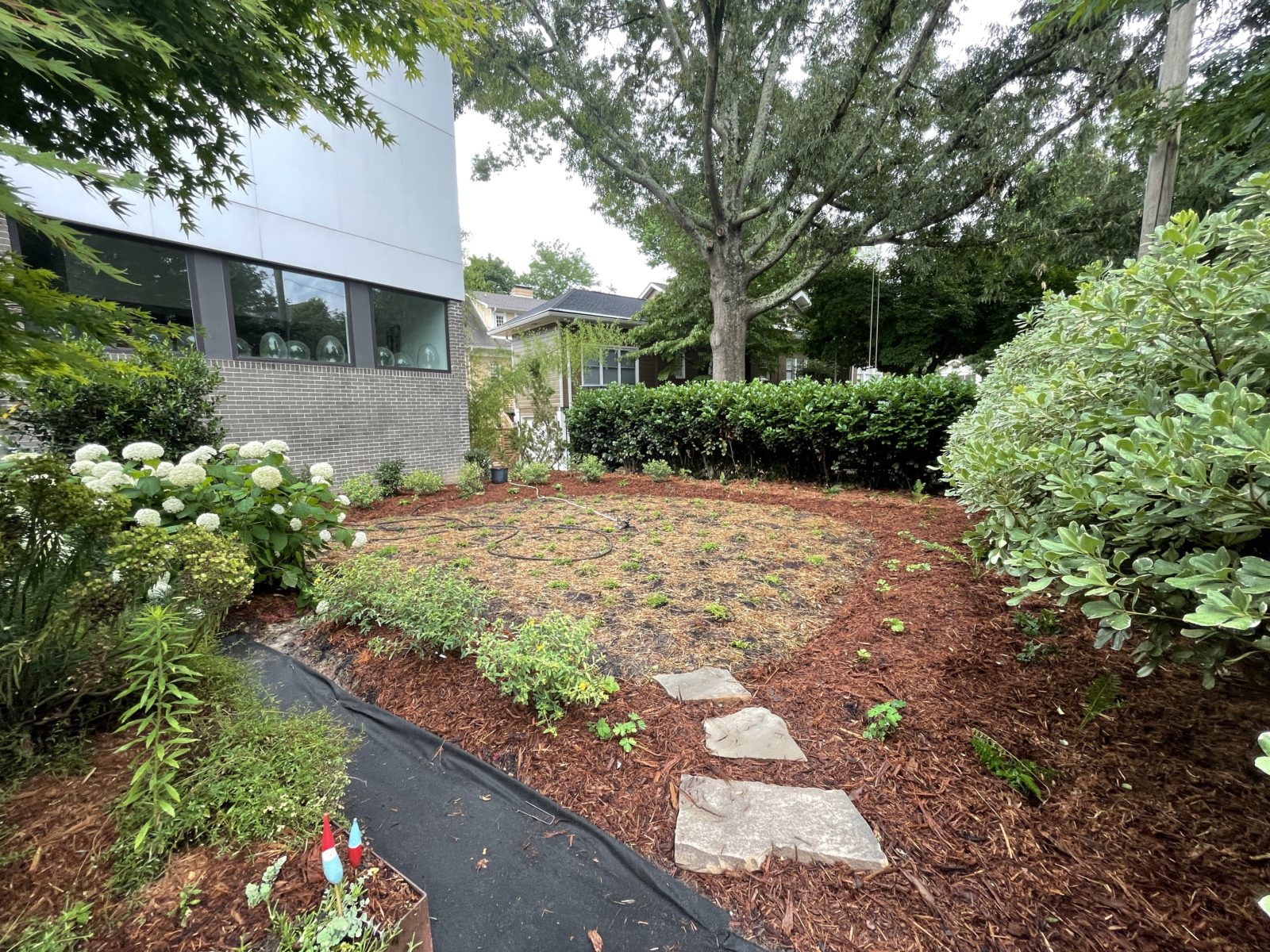 How We Turned a Contemporary Home Into an Ecological Sanctuary in the ...