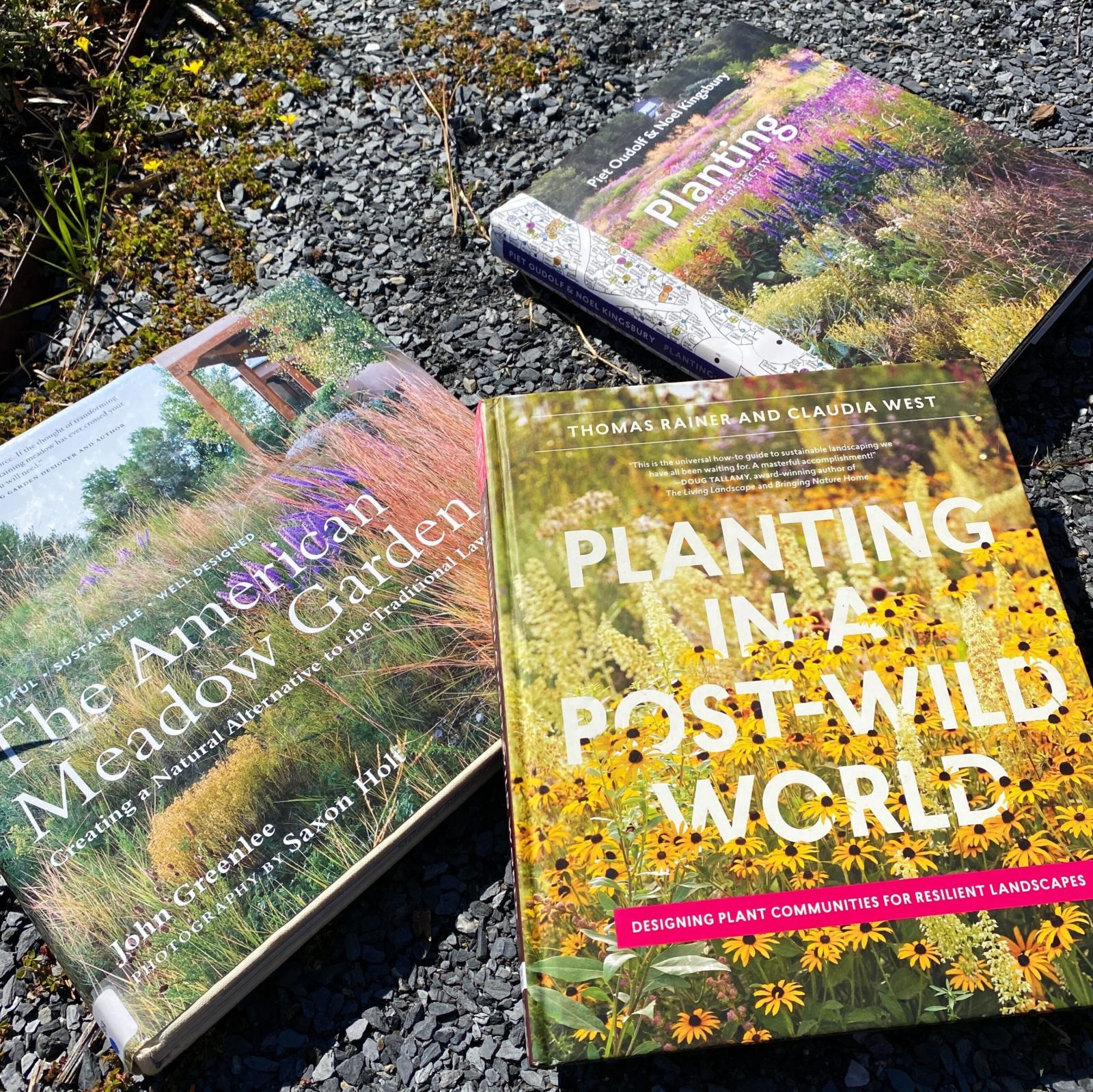 March is for Meadow Management | Shades of Green Blog