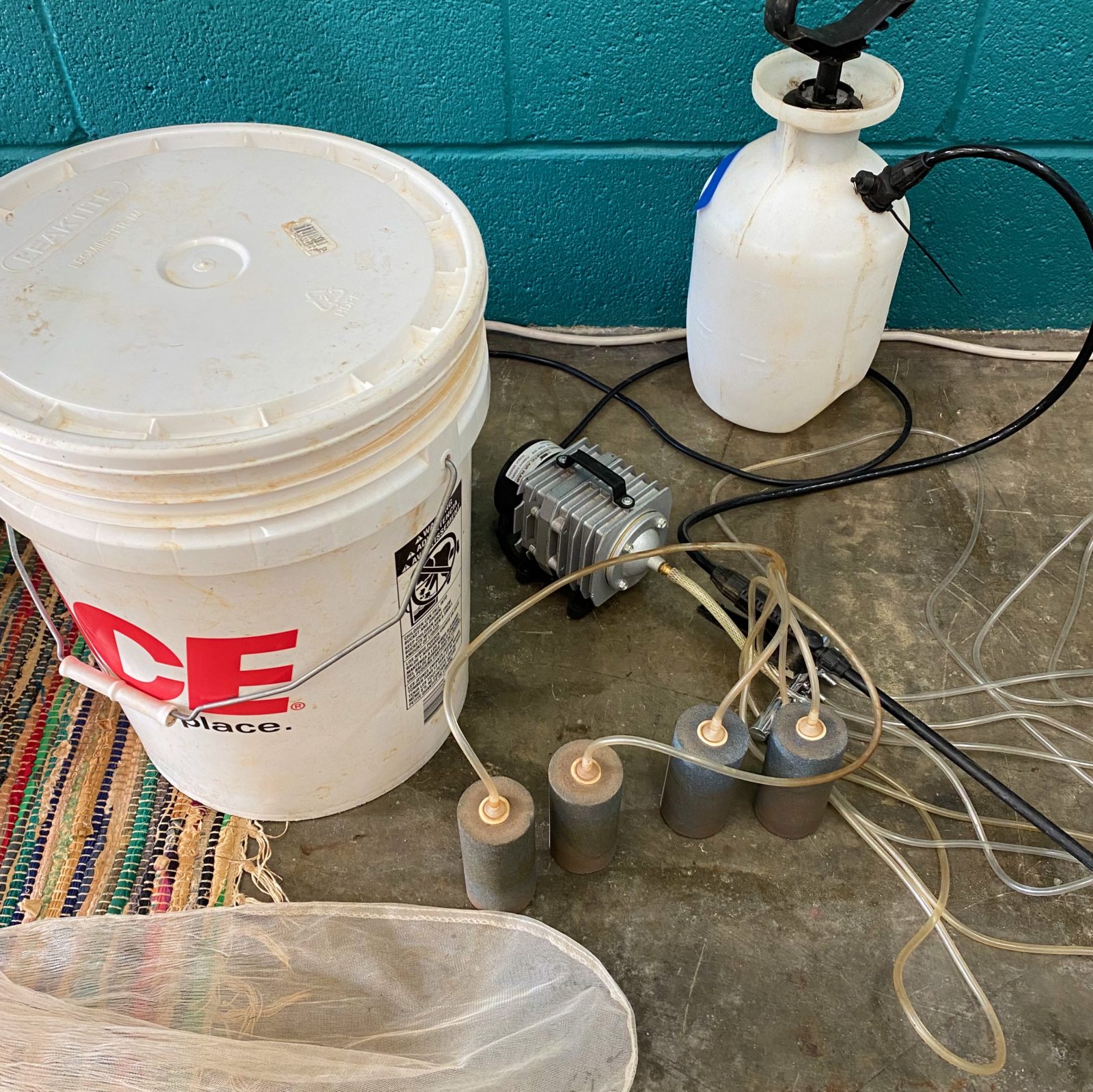 How to Make and Use Compost Tea at Home | Shades of Green Blog