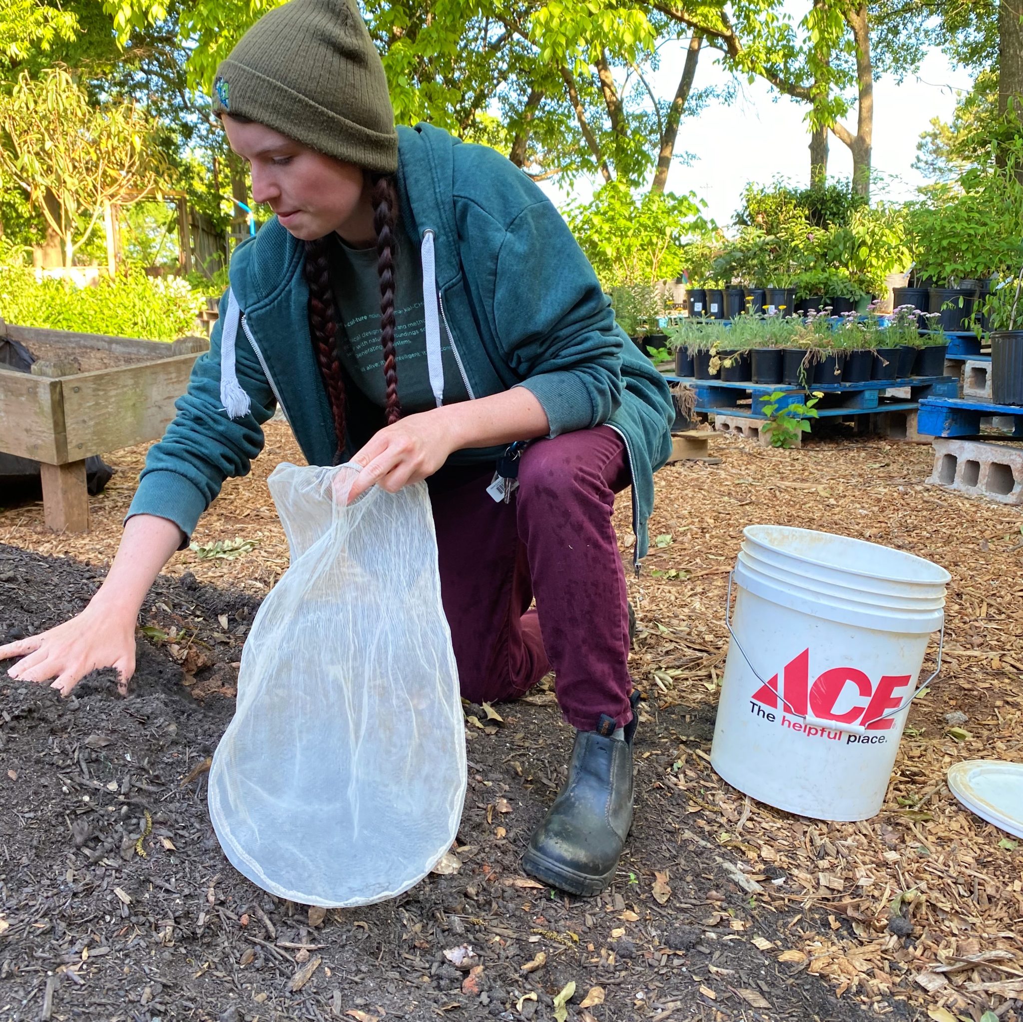How to Make and Use Compost Tea at Home | Shades of Green Blog