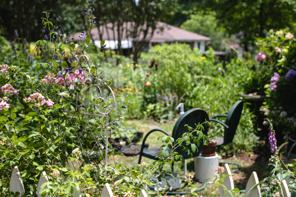 Permaculture 101 | shadesofgreenpermaculture.com