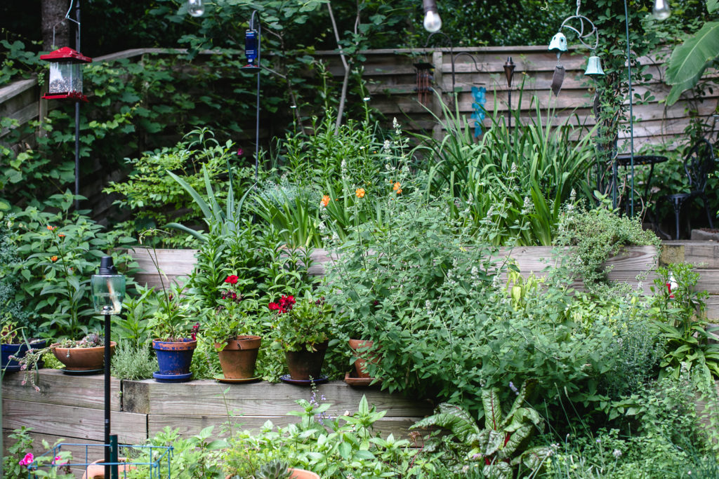 Permaculture 101 | shadesofgreenpermaculture.com