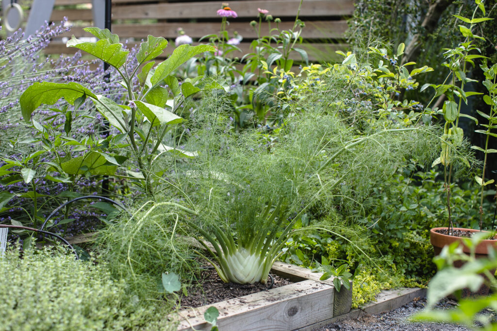 Permaculture 101 | shadesofgreenpermaculture.com