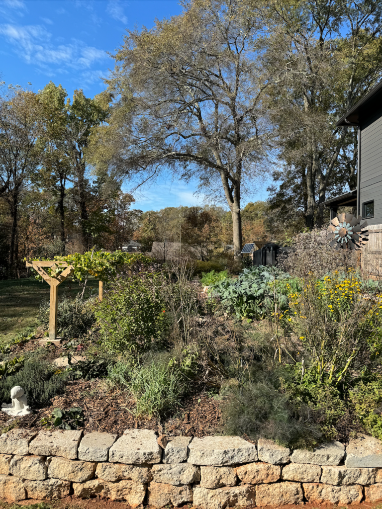 Transform Your Conventional Landscape into an Urban Homestead | Shades ...