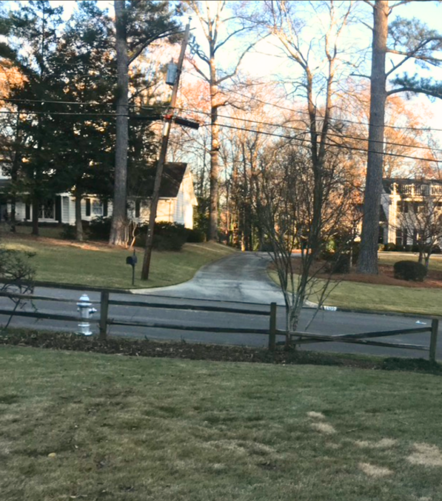 Embracing the Art of Slow Landscaping | Shades of Green Blog