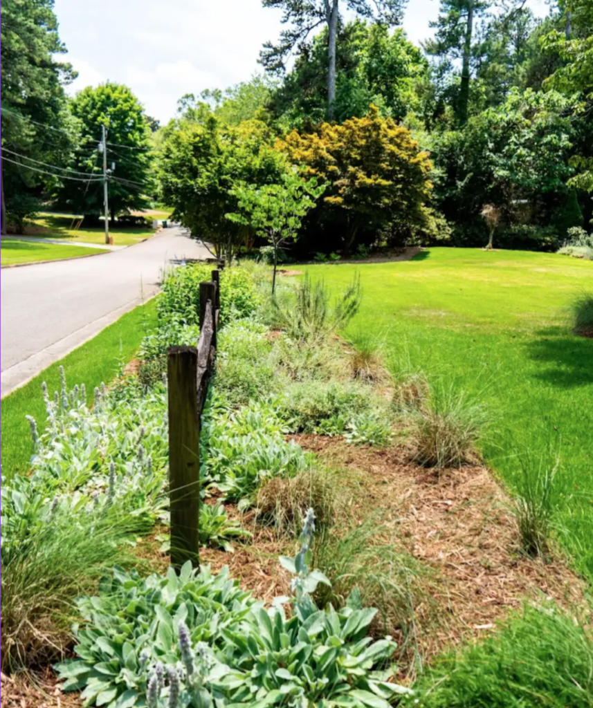Embracing the Art of Slow Landscaping | Shades of Green Blog