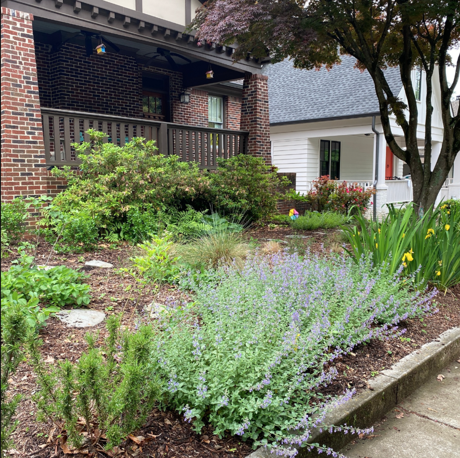 Embracing the Art of Slow Landscaping | Shades of Green Blog