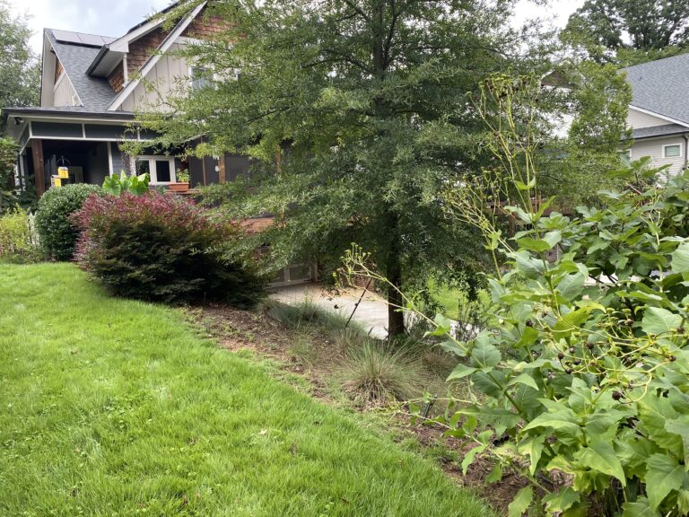 Rewilding a Landscape: How Native Plants and Water Management Brought ...