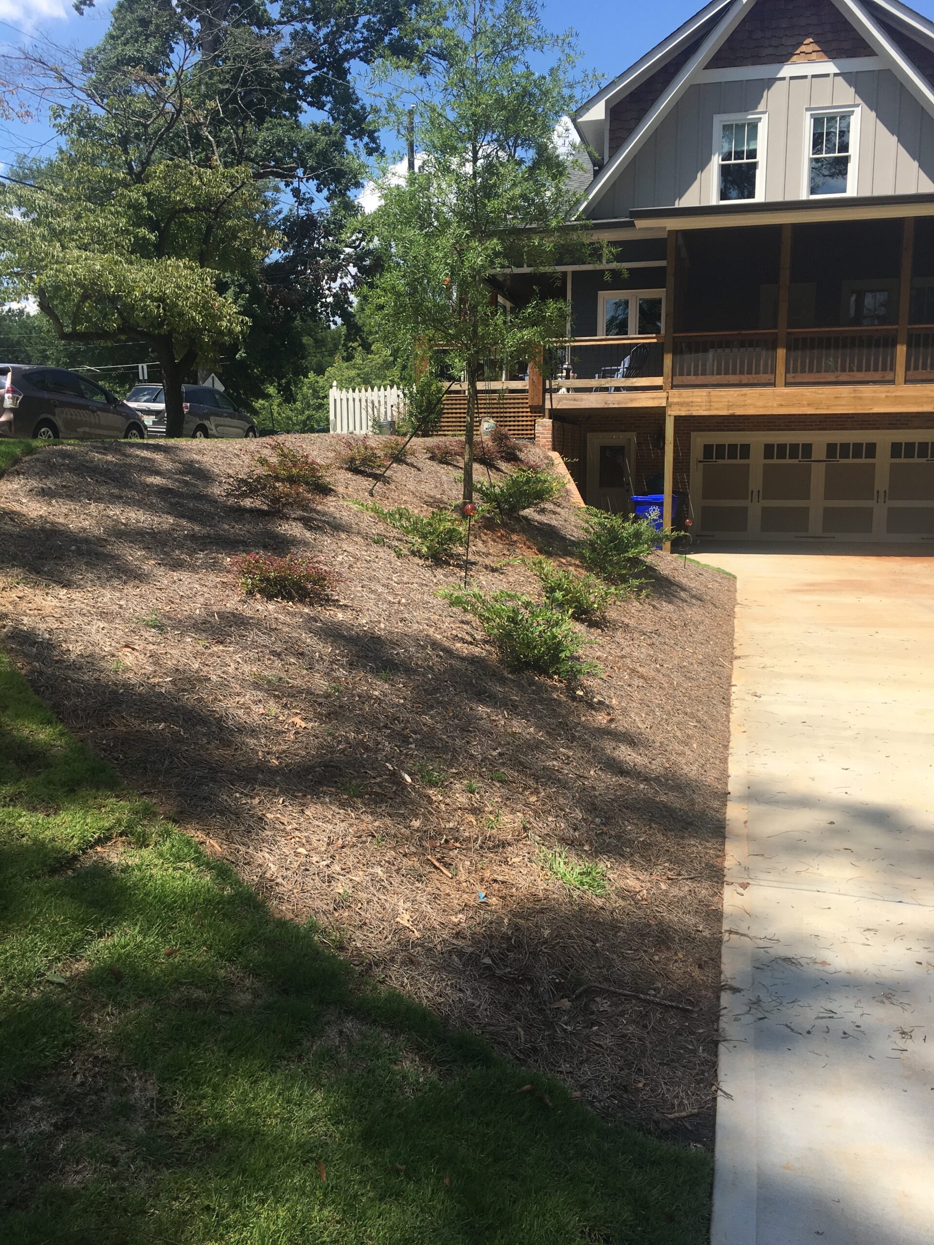 Rewilding a Landscape: How Native Plants and Water Management Brought ...
