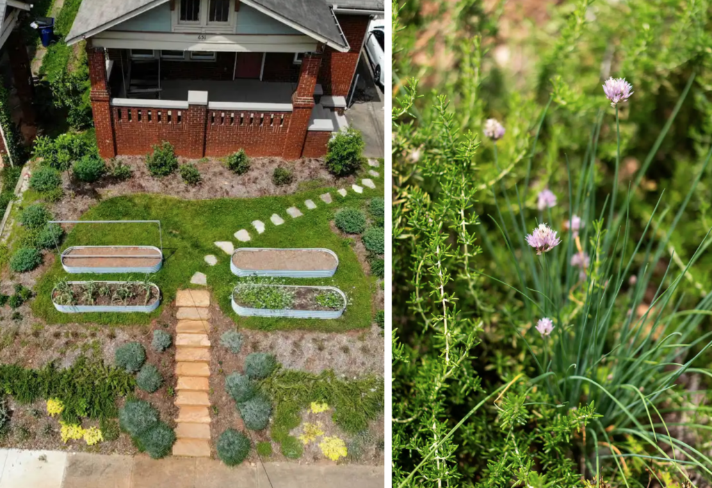 Transforming A Monoculture Lawn into an Abundant Landscape | Shades of ...