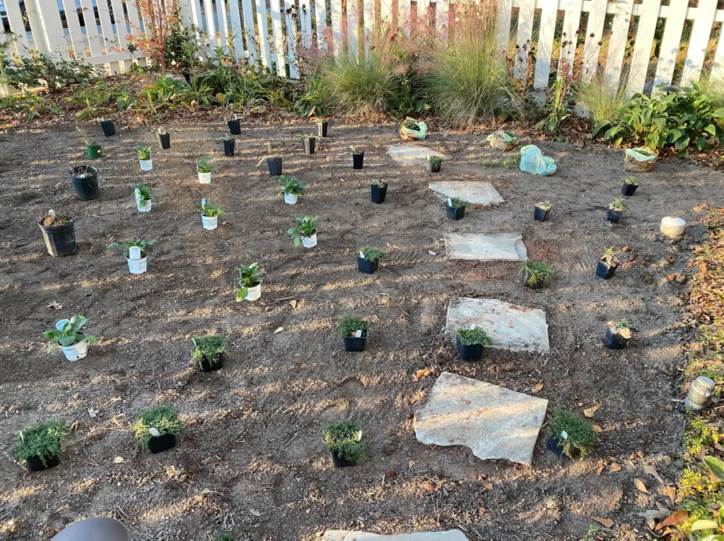 Transforming A Monoculture Lawn into an Abundant Landscape | Shades of ...